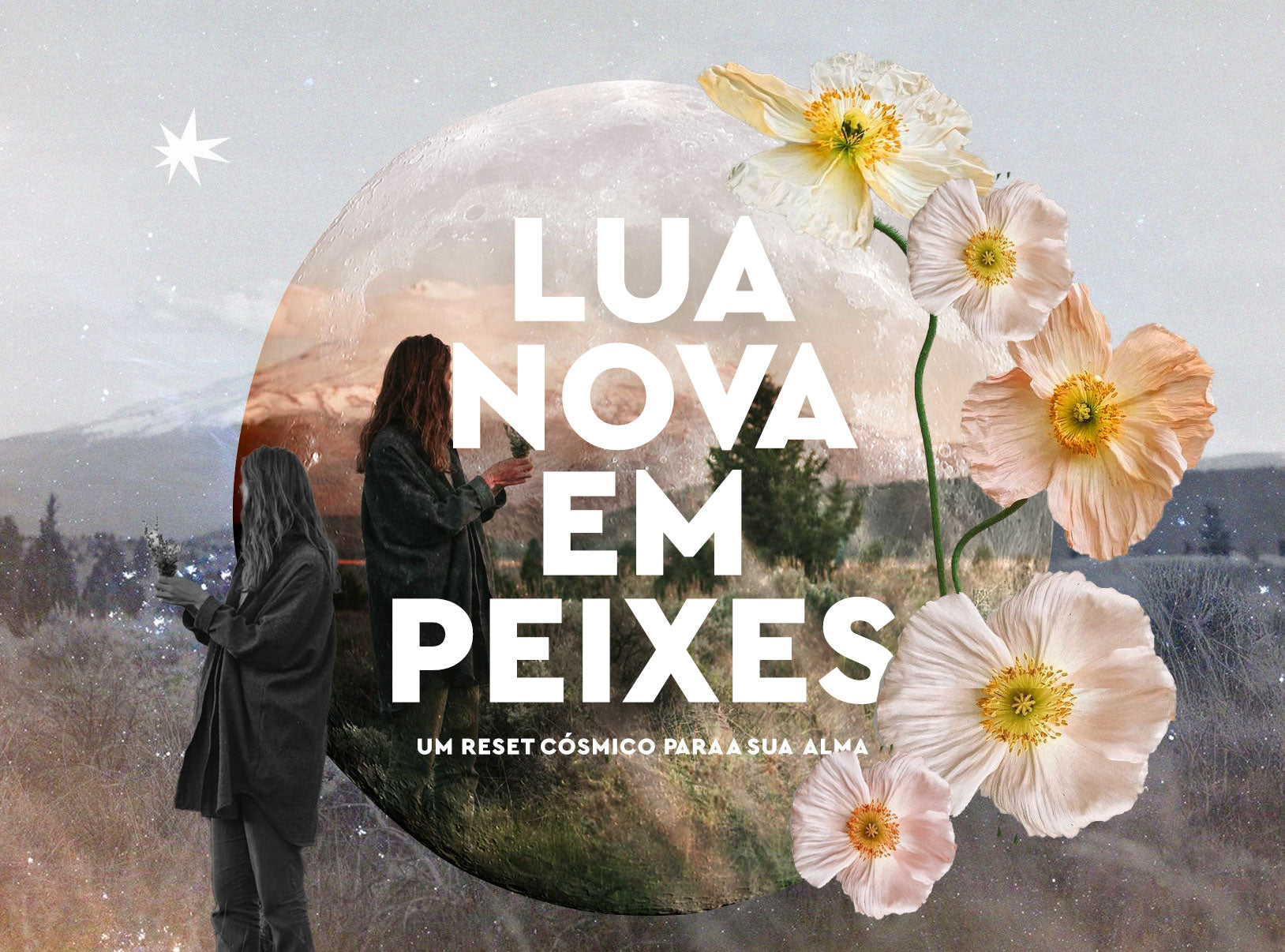 Lua Nova em Peixes: Um Reset Cósmico Para a Sua Alma – MPL beauty